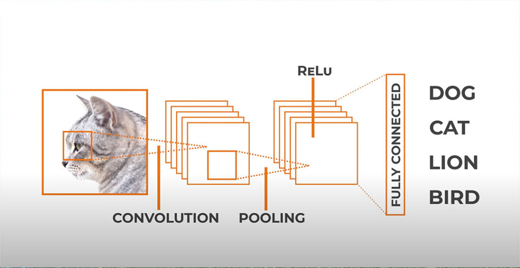 Usa usted una Red Neuronal Convolucional a diario? Sin Saberlo ...